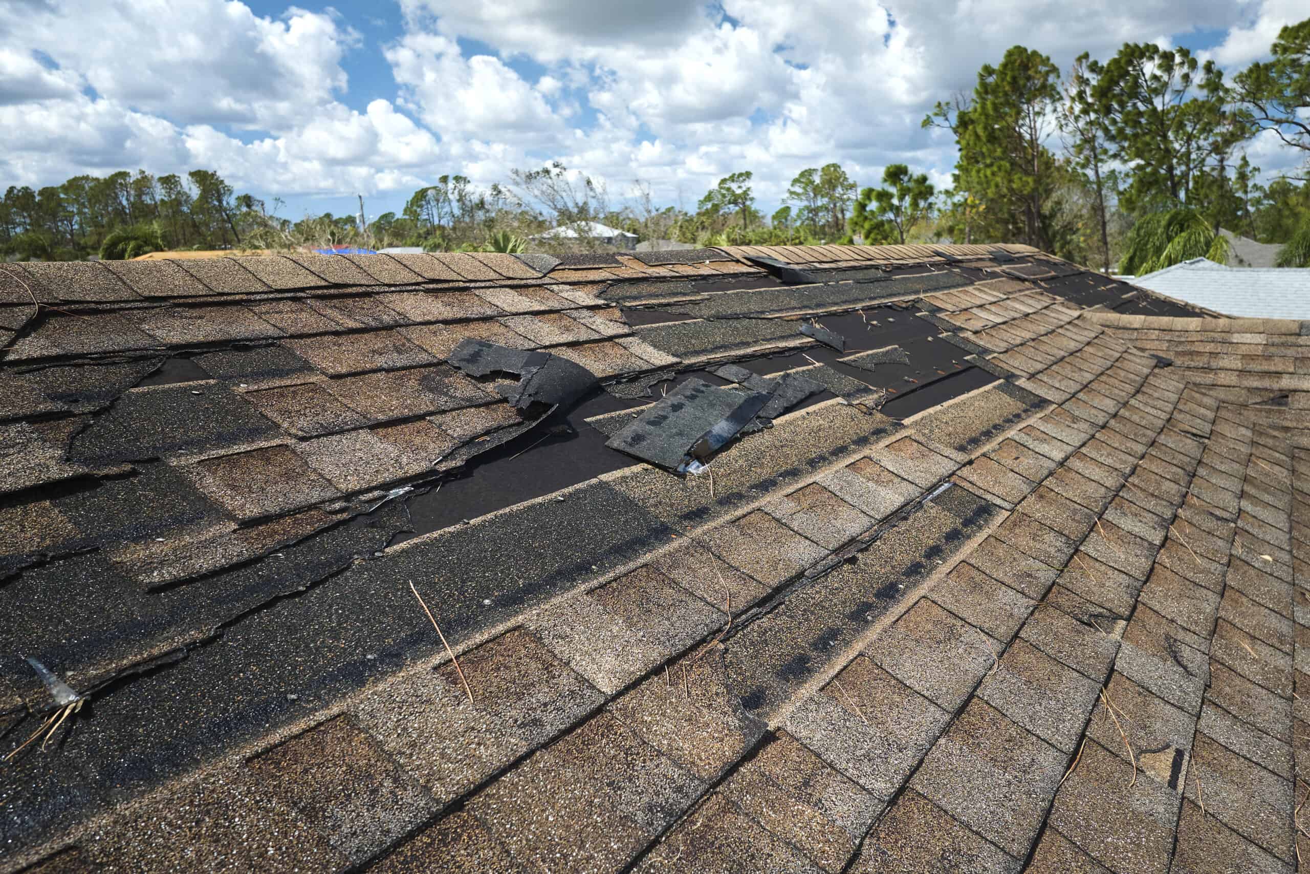 What Are the Signs of a Failing Roof?